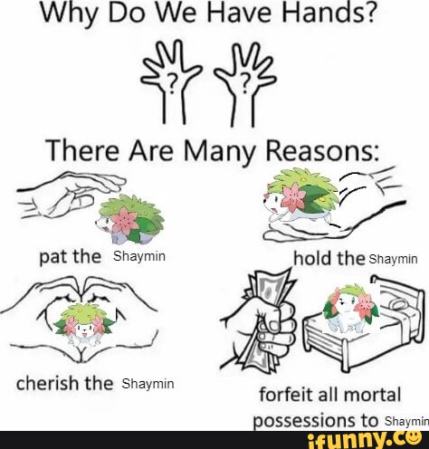 Shaymin memes. Best Collection of funny Shaymin pictures on iFunny