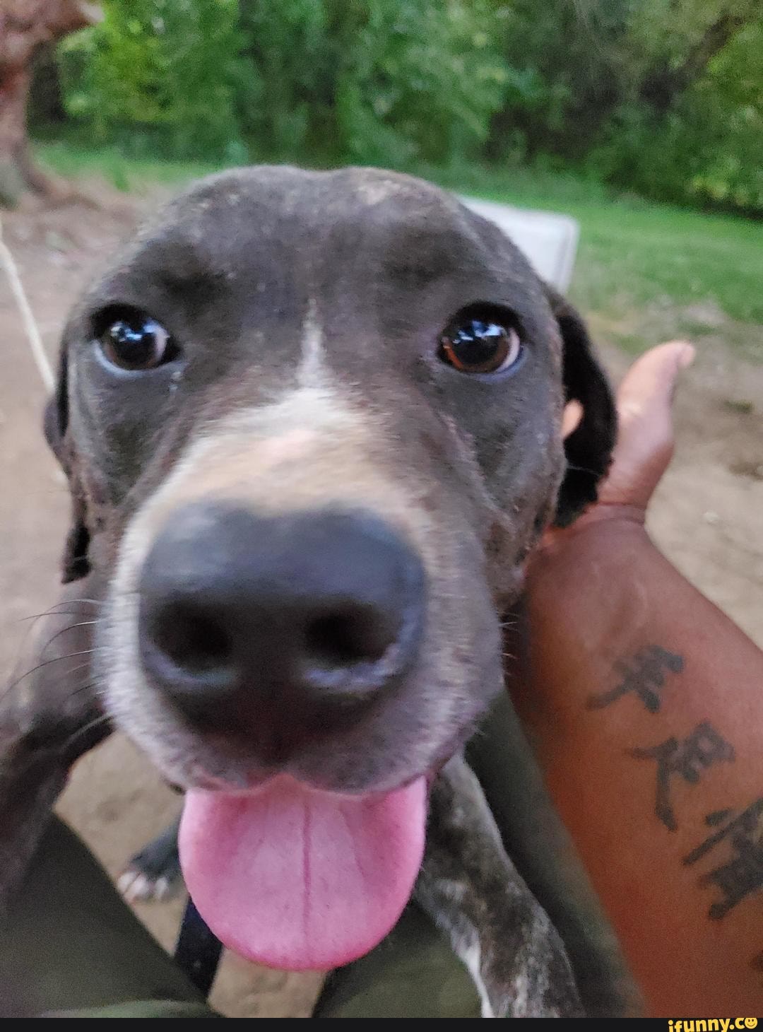 Diogee memes. Best Collection of funny Diogee pictures on iFunny