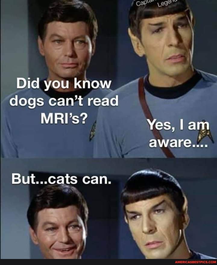Did you know dogs can't read MRI's? Yes, I am aware... But...cats can ...
