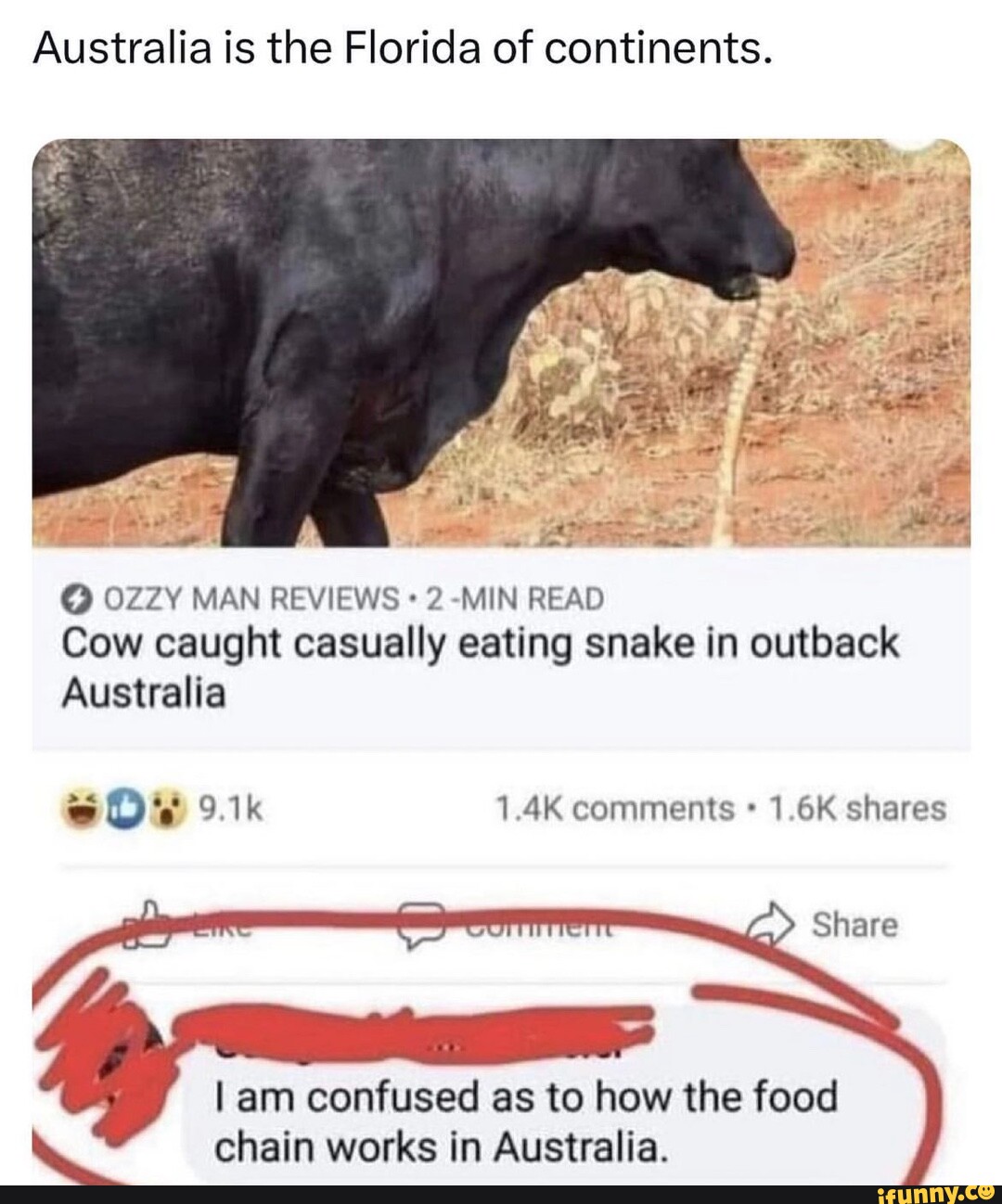 Australia is the Florida of continents. OZZY MAN REVIEWS 2 MIN READ Cow ...