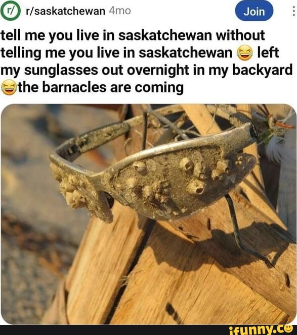 TikTok @dylan.odin To the people who are defending Iran and General ...