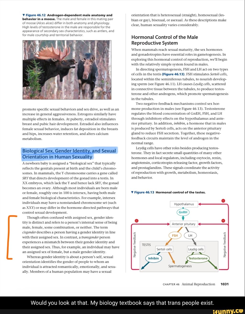 Androgen memes. Best Collection of funny Androgen pictures on iFunny