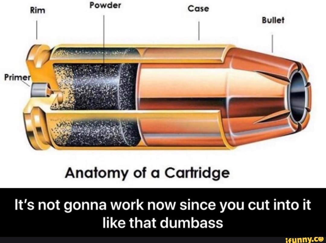 Rim Powder Case I Bullet Primer Anatomy of a Cartridge It's not gonna ...