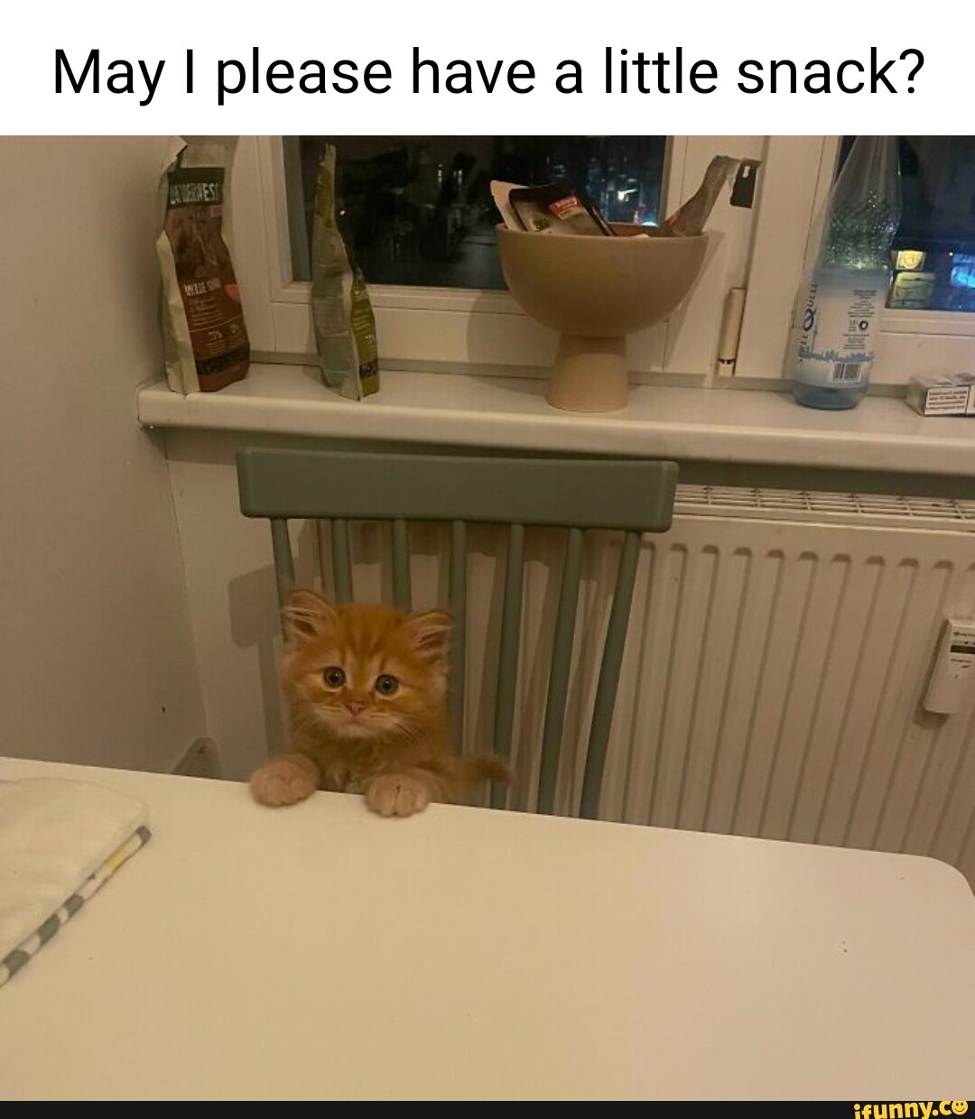 May I please have a little snack? - iFunny