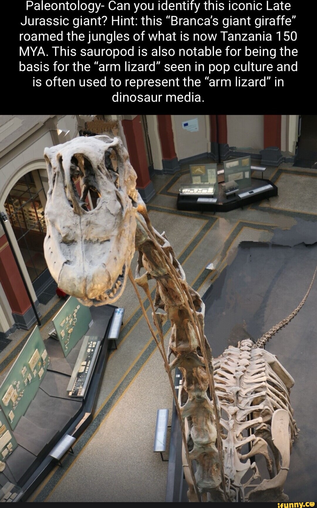 Paleontology- Can you identify this iconic Late Jurassic giant? Hint ...