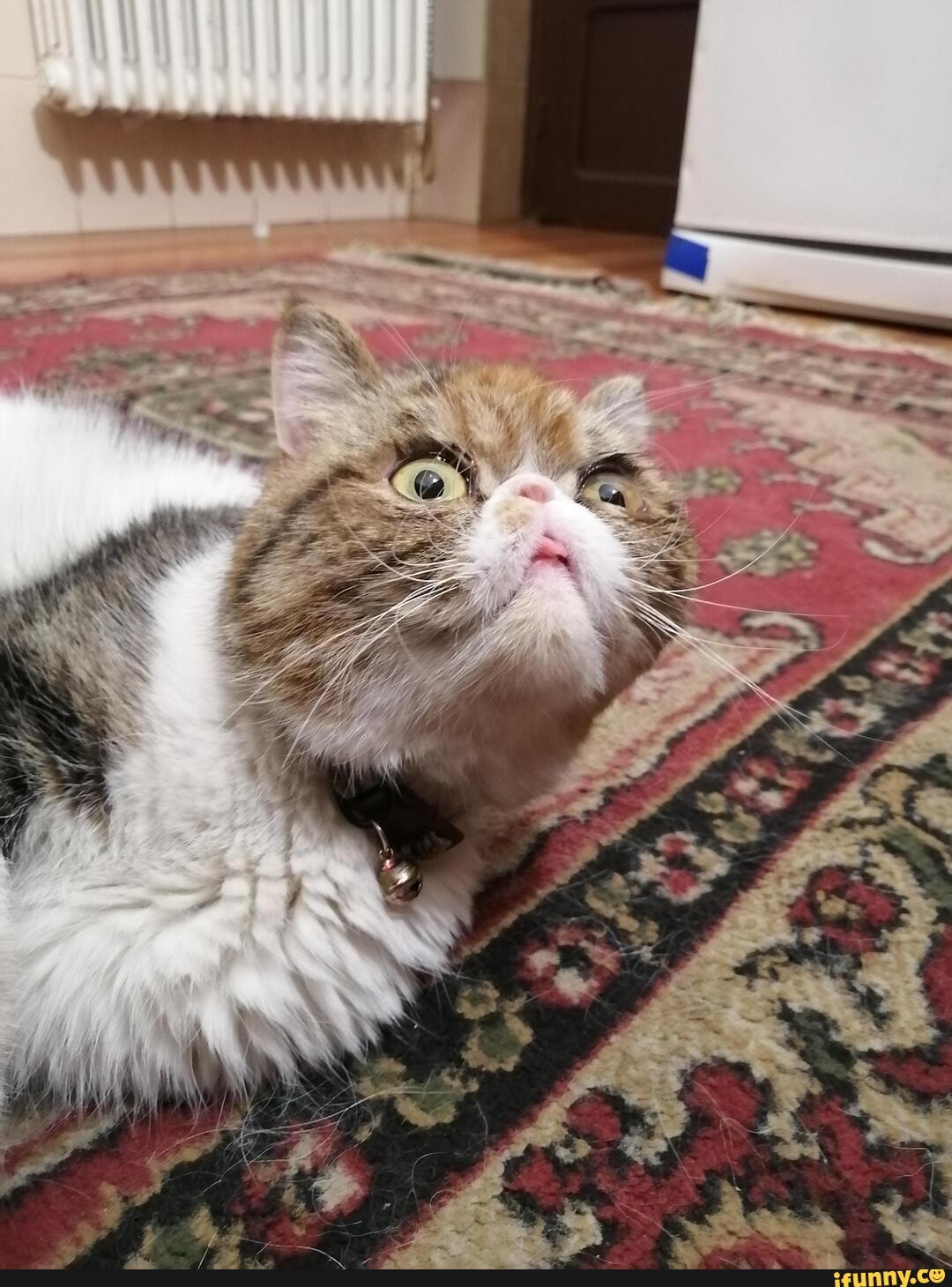 Blerp memes. Best Collection of funny Blerp pictures on iFunny