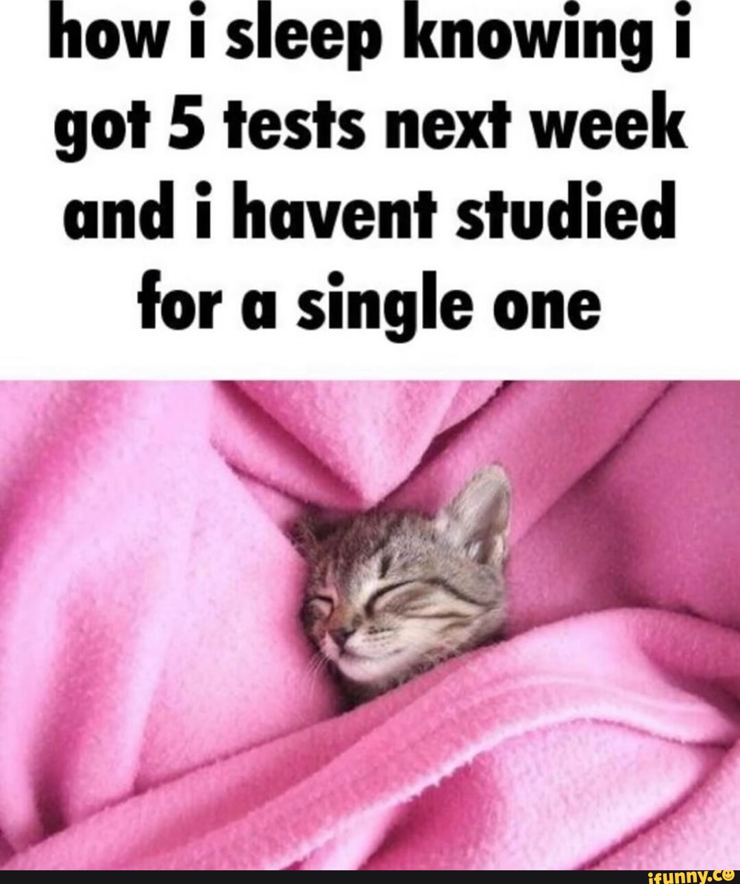 How I sleep knowing I got 5 tests next week and i havent studied for a ...