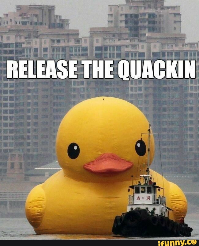 Quackin memes. Best Collection of funny Quackin pictures on iFunny