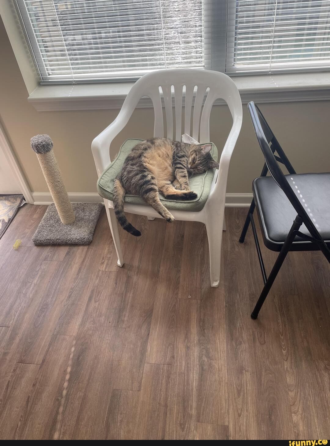 Tobacky memes. Best Collection of funny Tobacky pictures on iFunny