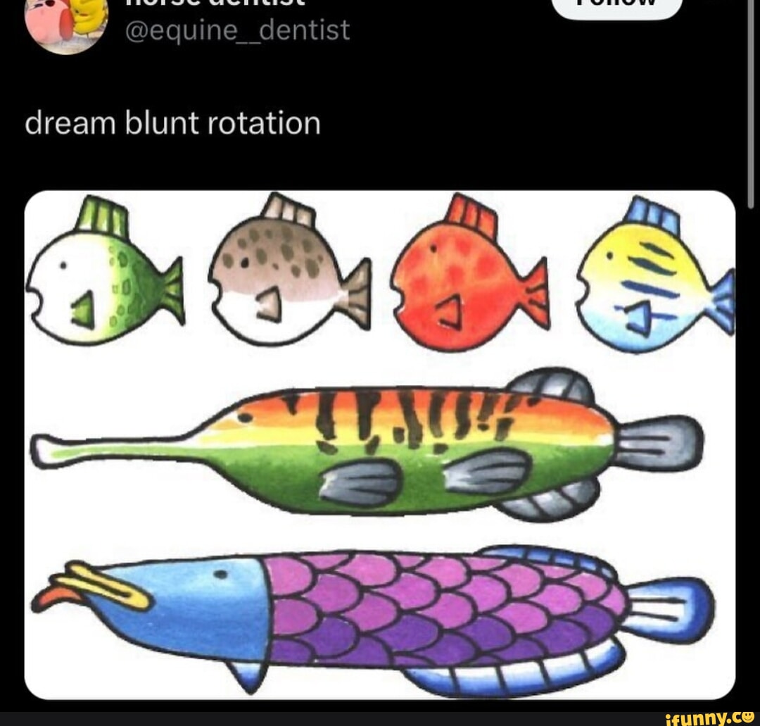 Dream blunt rotation - iFunny