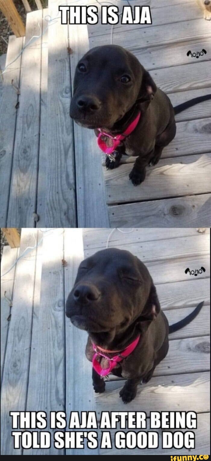 Fortnite is not real - iFunny