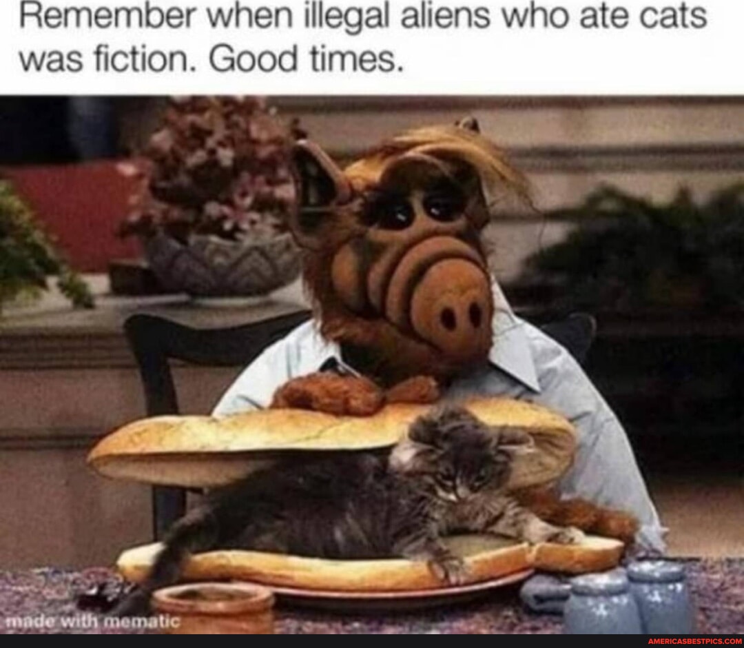 Remember when illegal aliens who ate cats was fiction. Good times. with ...