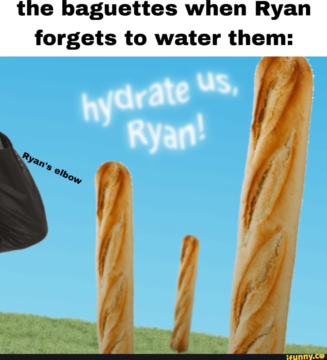 Baguettes memes. Best Collection of funny Baguettes pictures on iFunny