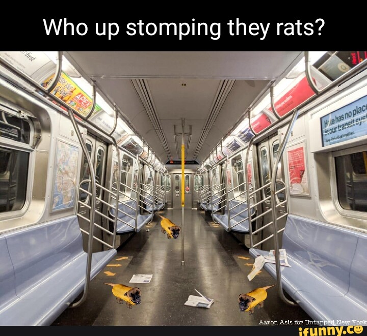 Stomping memes. Best Collection of funny Stomping pictures on iFunny