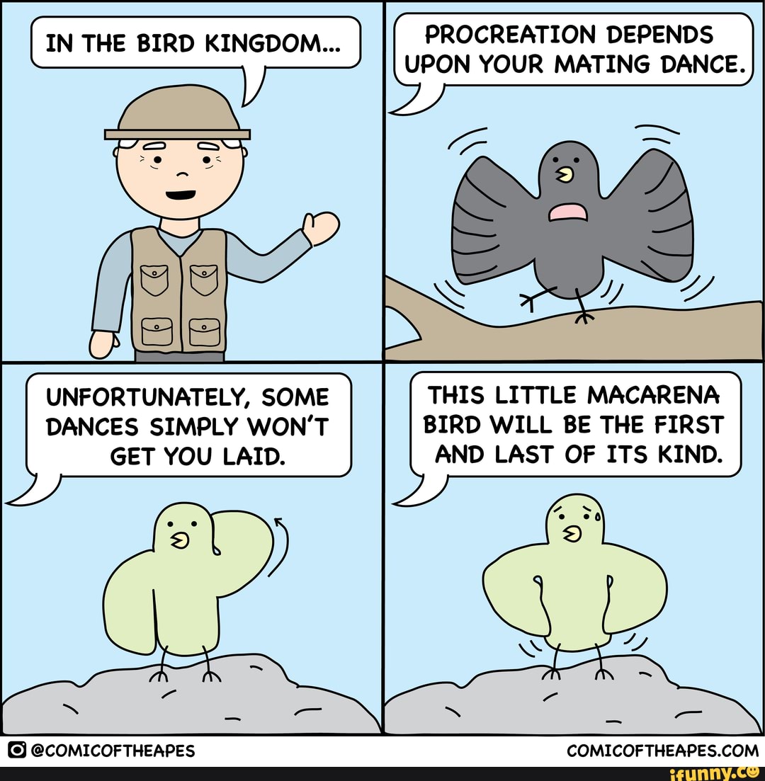PROCREATION DEPENDS UPON YOUR MATING DANCE. IN THE BIRD KINGDOM ...