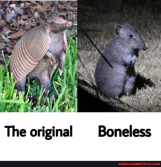 The first one looks so crunchy. #snacktime - The original Boneless ...