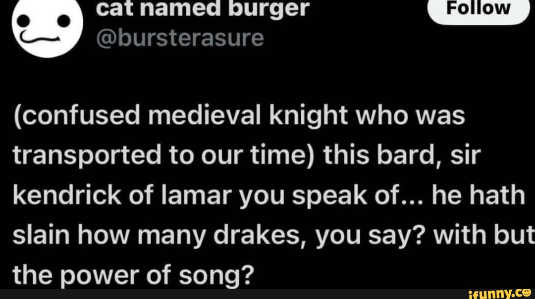 Cat named burger @bursterasure (confused medieval knight who was ...