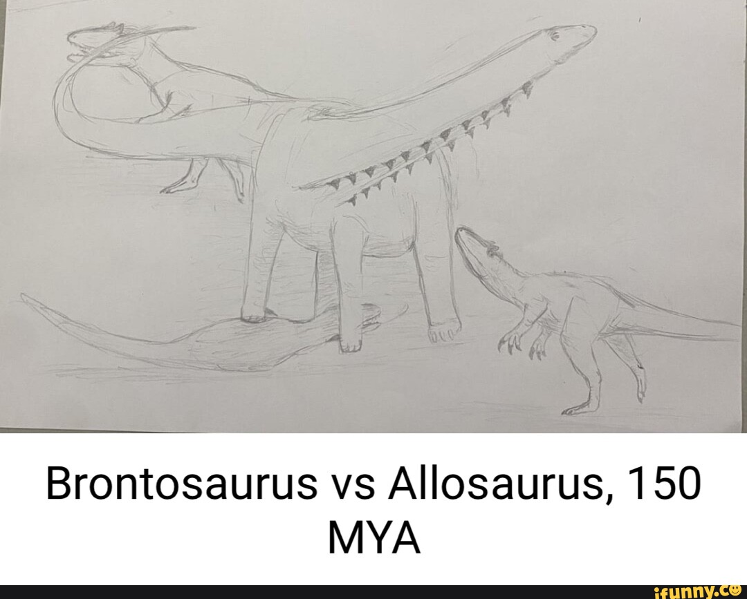 Brontosaurus vs Allosaurus, 150 MYA - iFunny