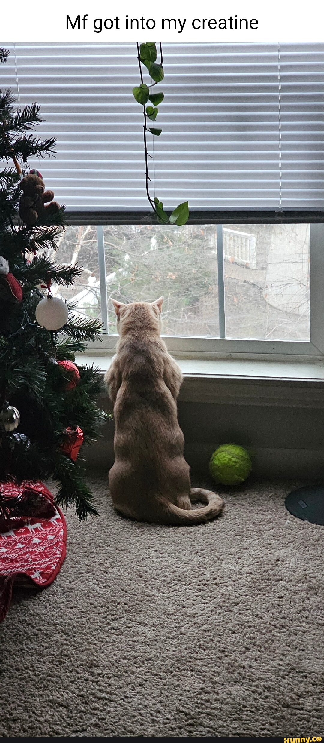 Creatine memes. Best Collection of funny Creatine pictures on iFunny