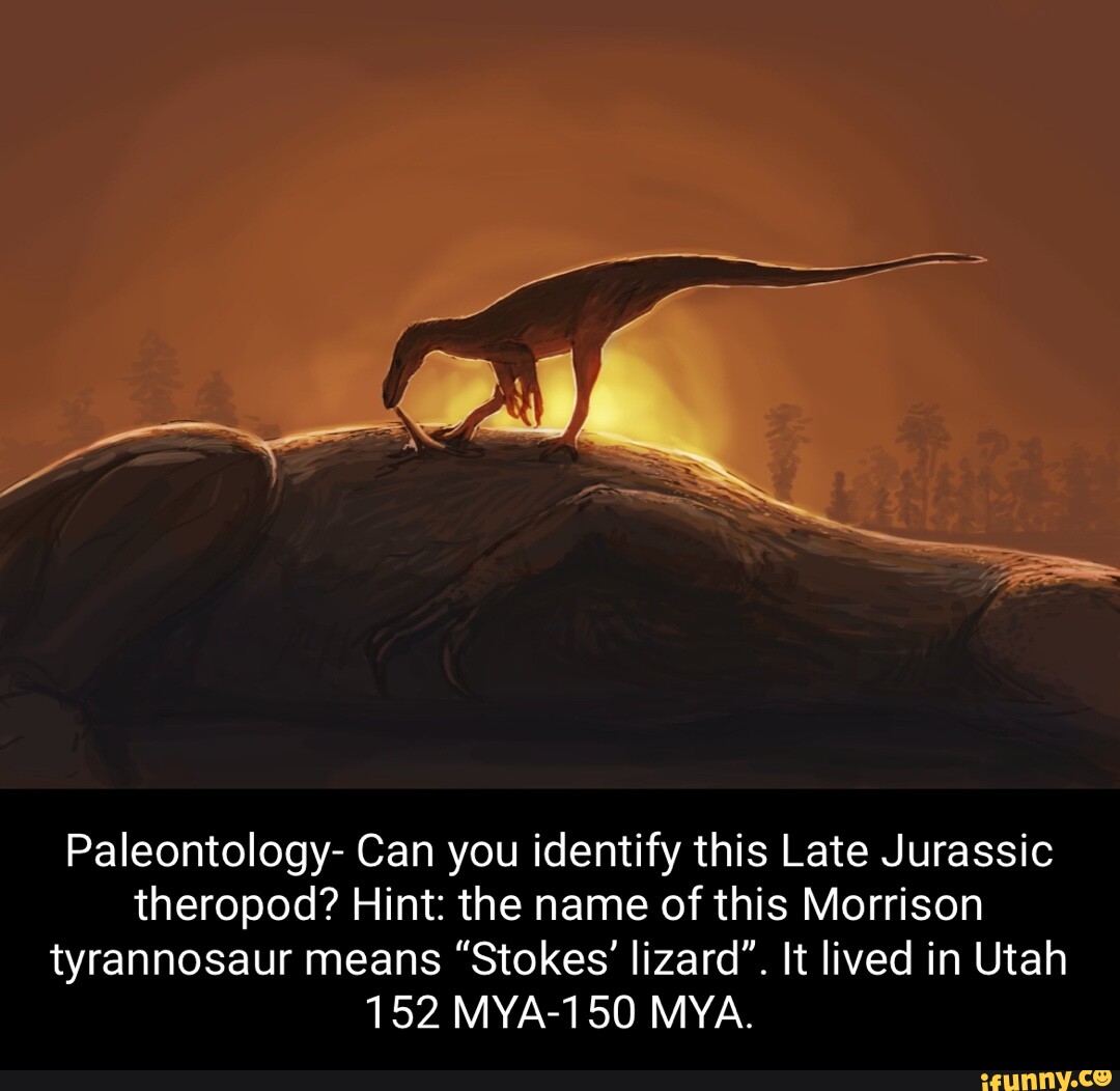 Paleontology- Can you identify this Late Jurassic theropod? Hint: the ...