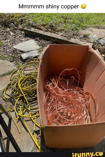 Mmmmm shiny copper - iFunny