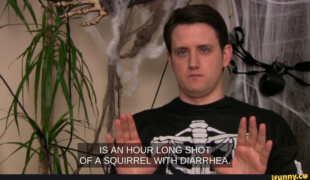IS AN HOUR LONG SHOT OF A SQUIRREL WITH DIARRHEA. - iFunny