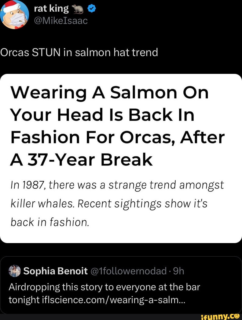 Rat king @ Orcas STUN in salmon hat trend Wearing A Salmon On Your Head Is Back In Fashion For ...