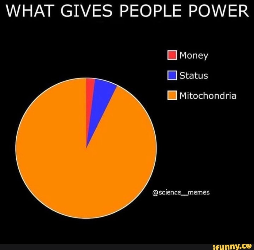 WHAT GIVES PEOPLE POWER Money Status Mitochondria @science_memes - iFunny
