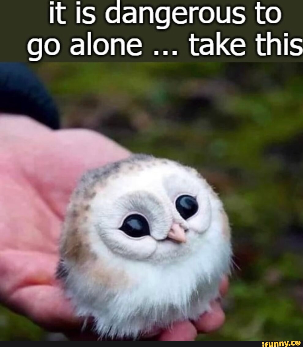 TikTok @jtthegamer20 Bruh, the black had burst out of him - iFunny