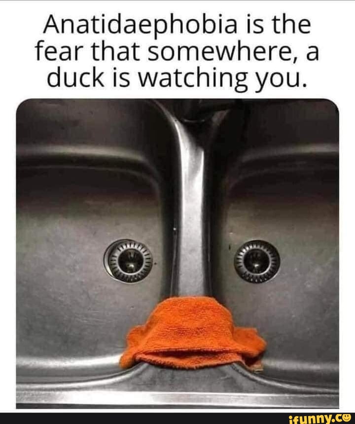 Anatidaephobia memes. Best Collection of funny Anatidaephobia pictures ...