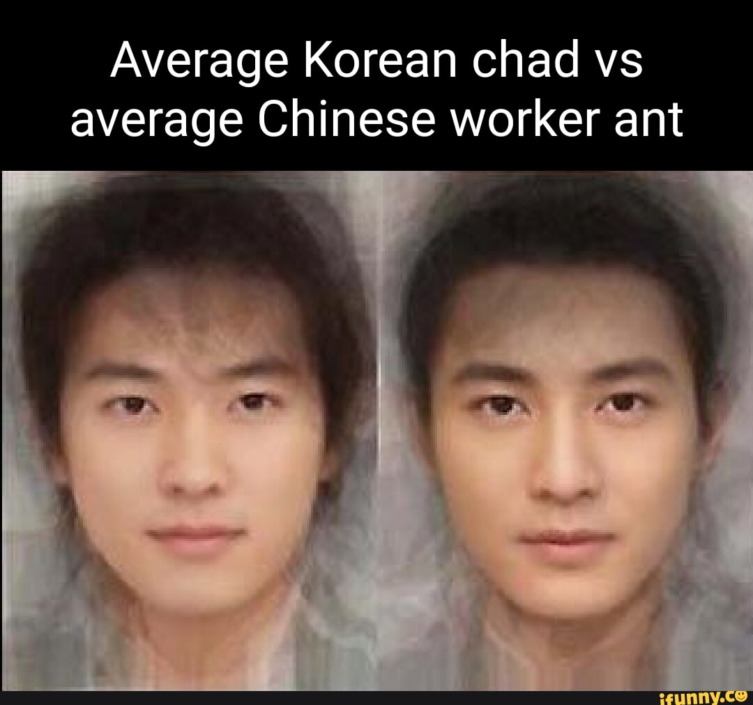 Average Korean chad vs average Chinese worker ant - iFunny