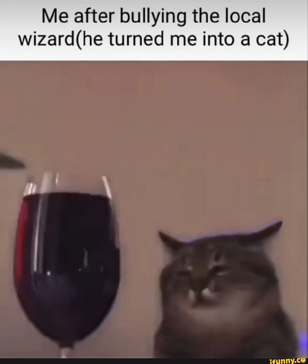 Me after bullying the local wizard (he turned me into cat) - iFunny