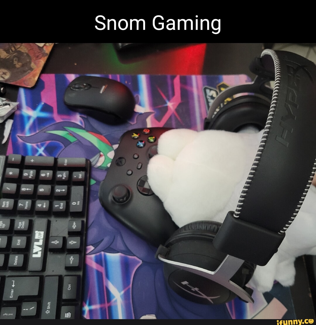 Snom memes. Best Collection of funny Snom pictures on iFunny