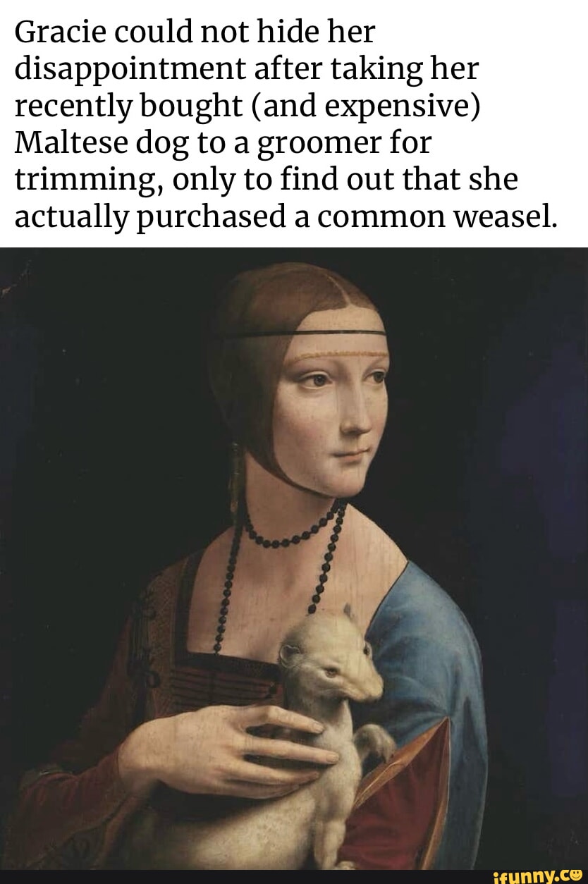 Weasel memes. Best Collection of funny Weasel pictures on iFunny