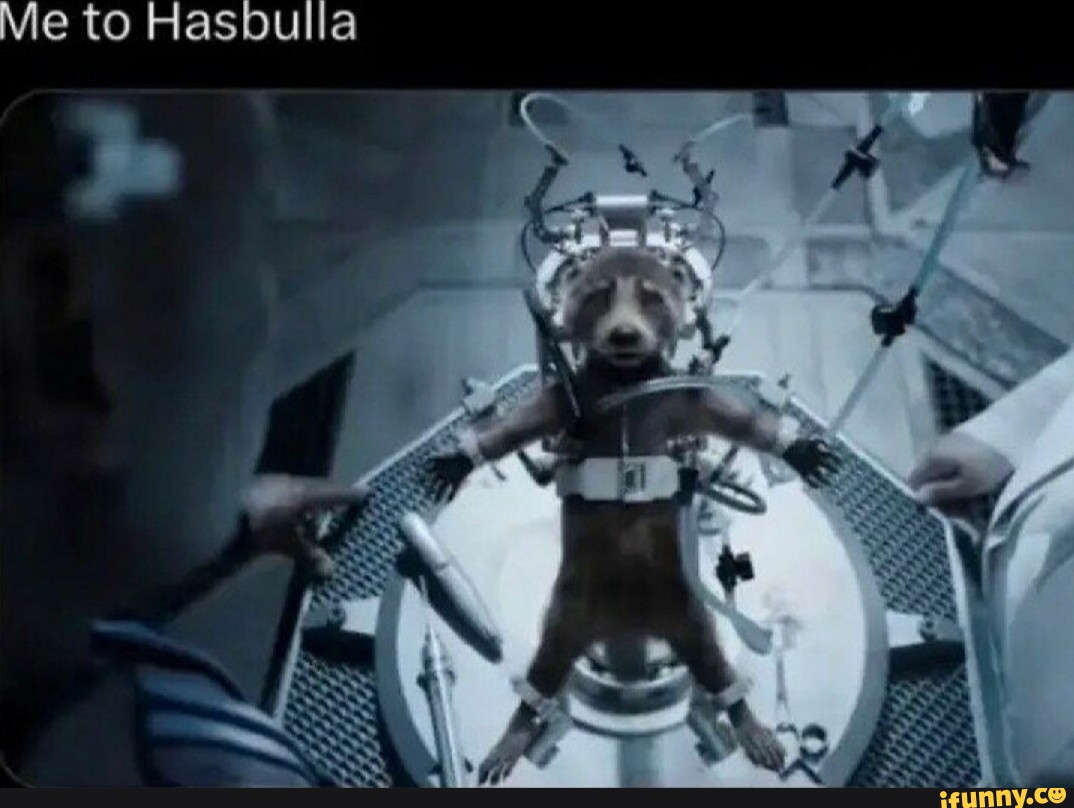 Me to Hasbulla - iFunny