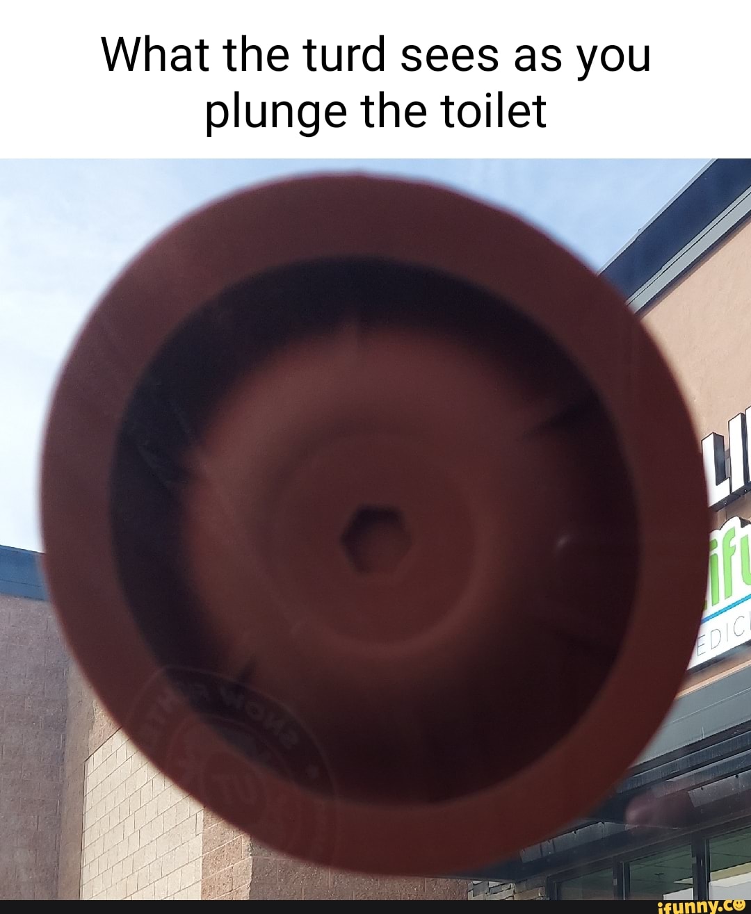 What the turd sees as you plunge the toilet of - iFunny