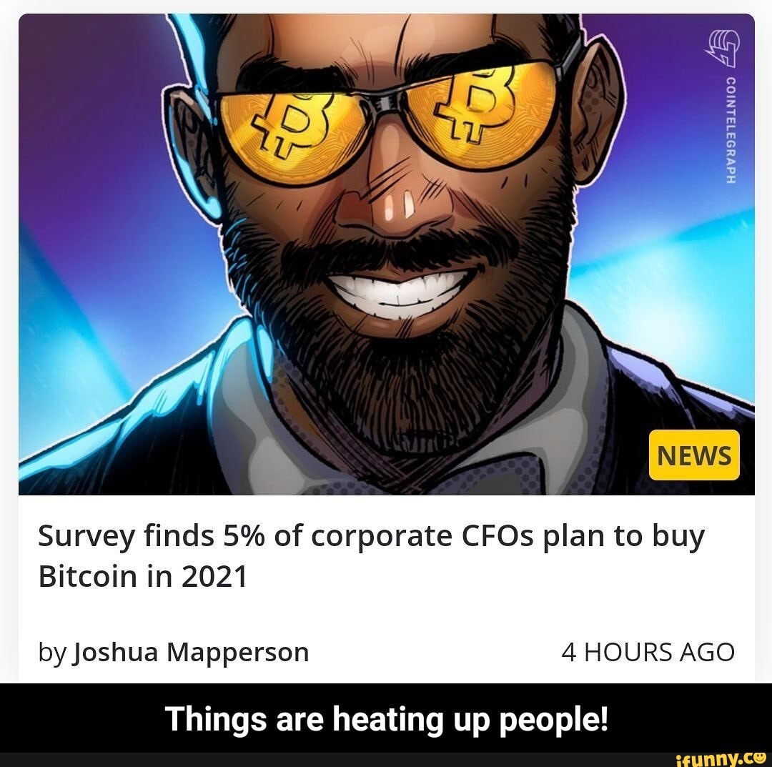 Cfo Memes