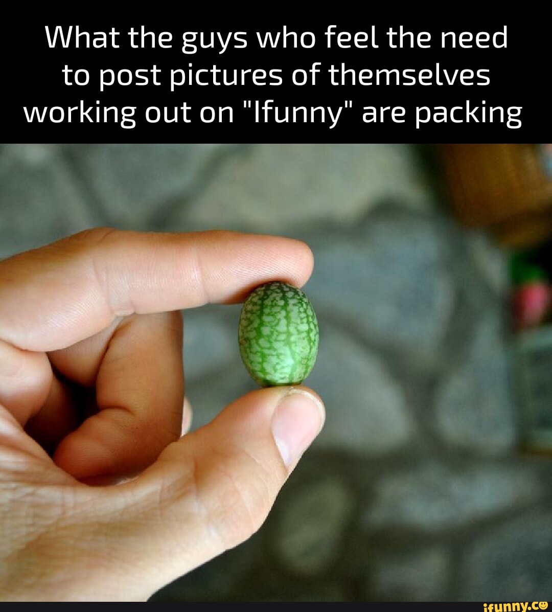 Packing memes. Best Collection of funny Packing pictures on iFunny
