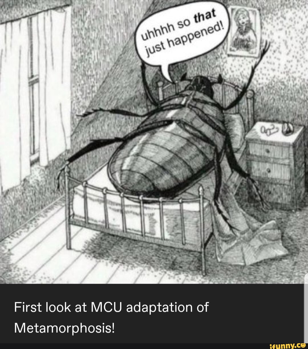 Metamorphosis memes. Best Collection of funny Metamorphosis pictures on ...