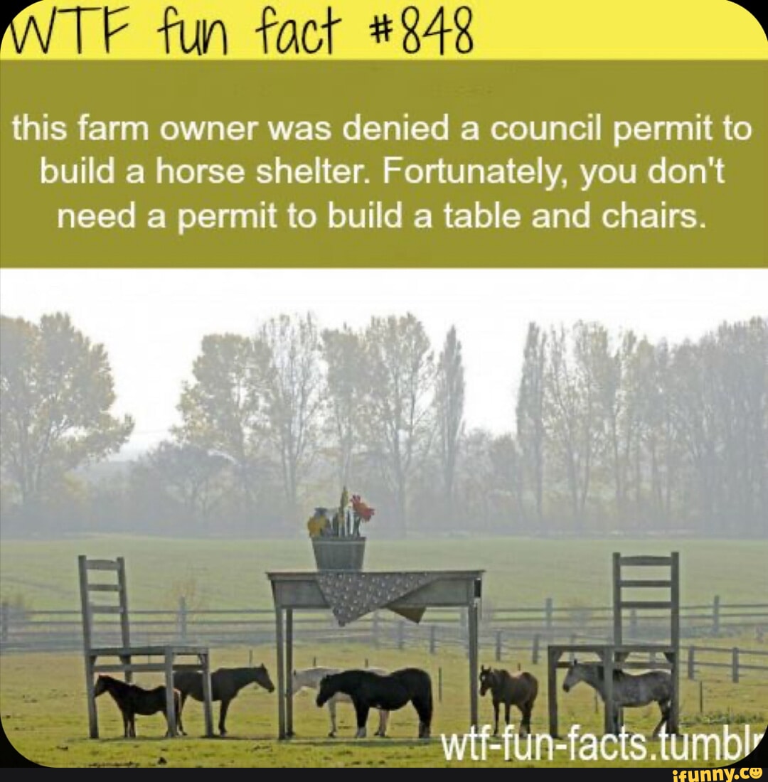 Permit memes. Best Collection of funny Permit pictures on iFunny