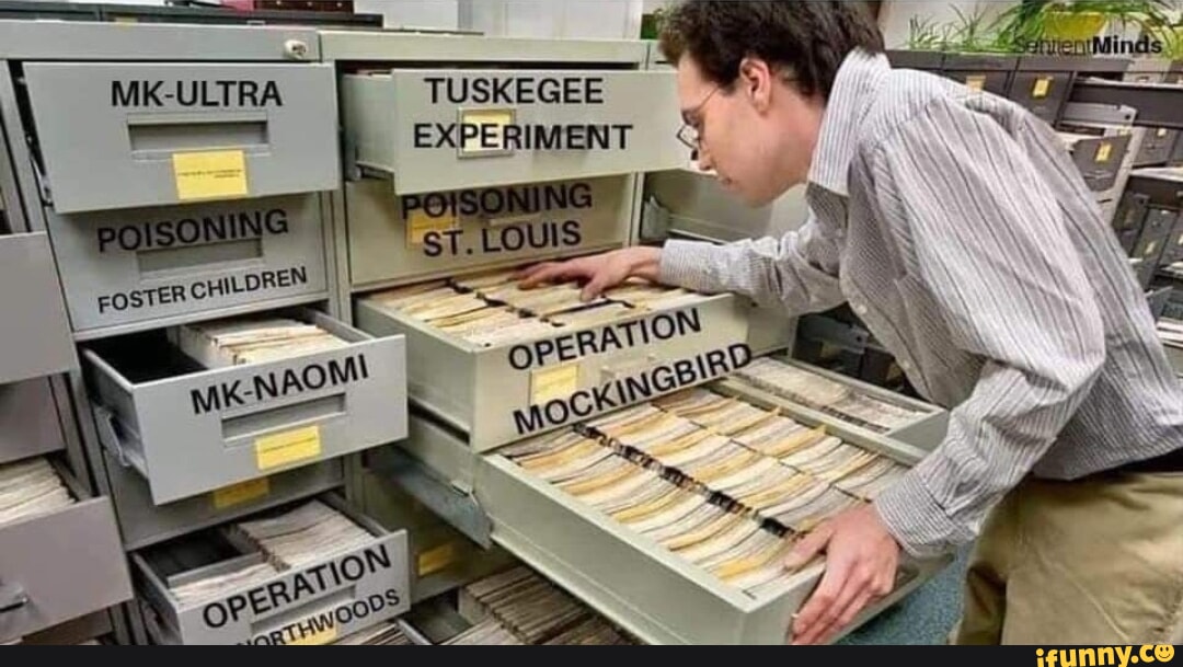 Mockingbird memes. Best Collection of funny Mockingbird pictures on iFunny