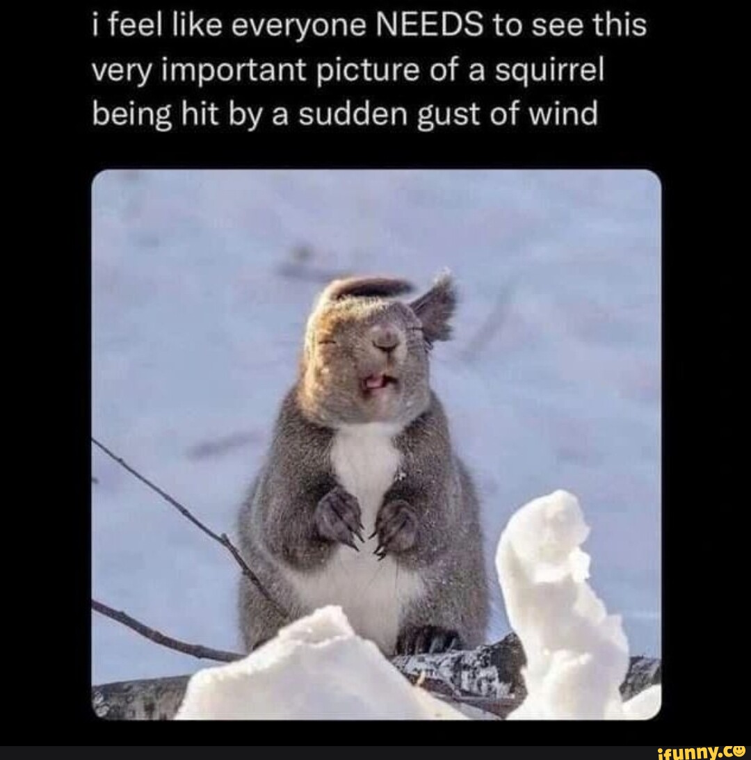 I feel like everyone NEEDS to see this very important picture of a ...