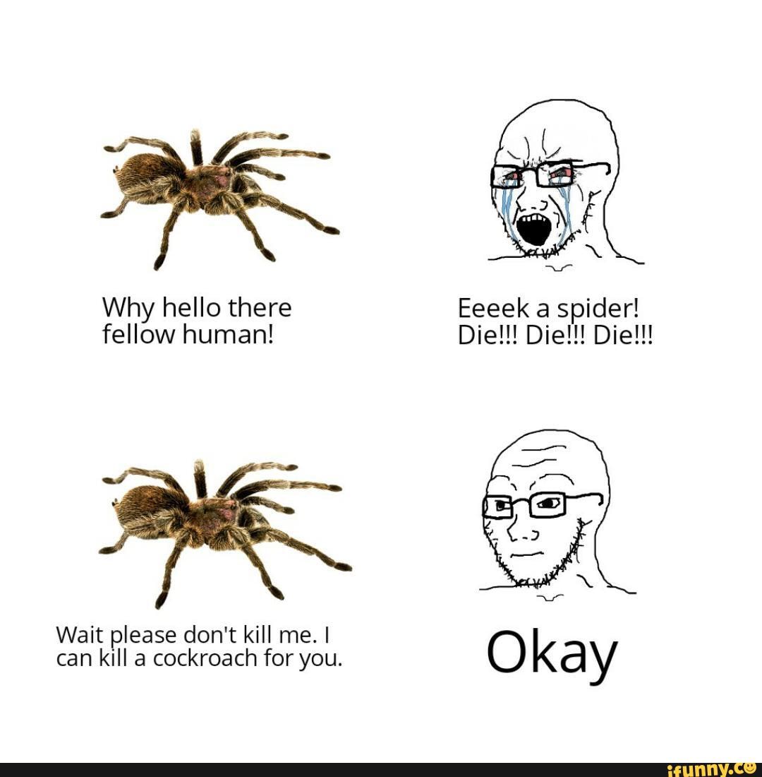Eeeek memes. Best Collection of funny Eeeek pictures on iFunny
