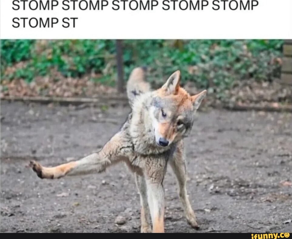 STOMP STOMP STOMP STOMP STOMP ST - iFunny