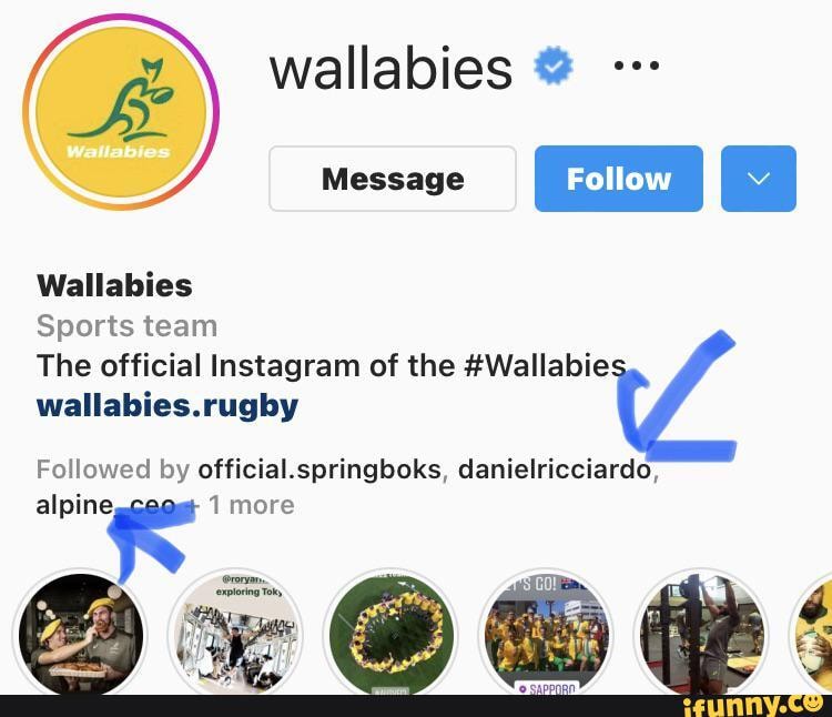 Springboks memes. Best Collection of funny Springboks pictures on iFunny