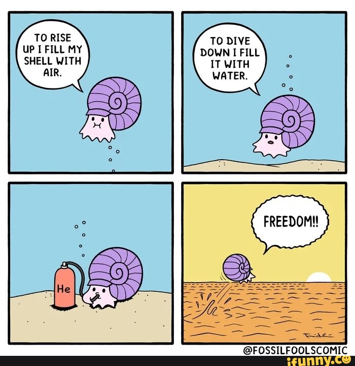 TO RISE TO DIVE UP I FILL MY SHELL WITH AIR, @FOSSILFOOLSCOMIC - iFunny