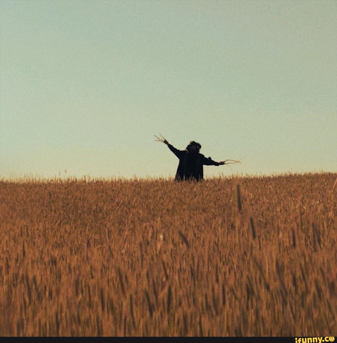 Scarecrows memes. Best Collection of funny Scarecrows pictures on iFunny