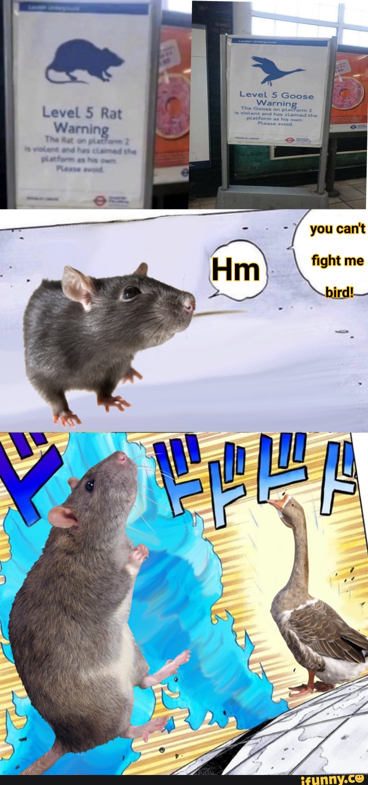 Level 5 Rat Warning The Rat on plattorm 2 ts violent and has cLaened ...