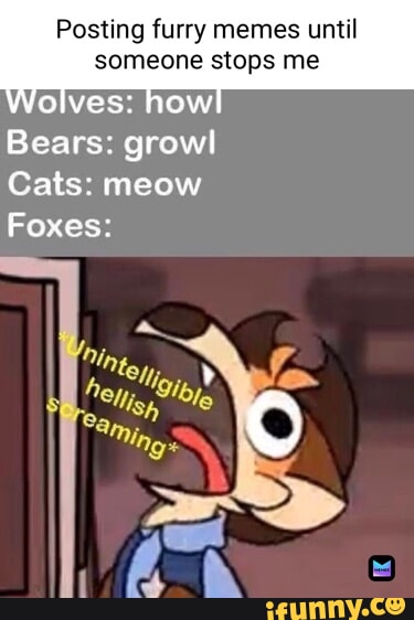 Posting furry memes until someone stops me Wolves: how Bears: growl ...