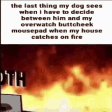 Buttcheek memes. Best Collection of funny Buttcheek pictures on iFunny